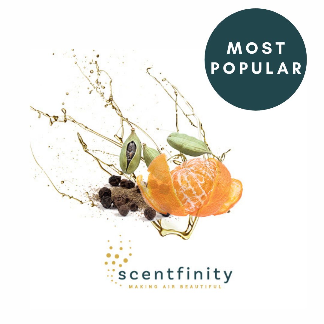 Tropic Blue – scentfinity-shop