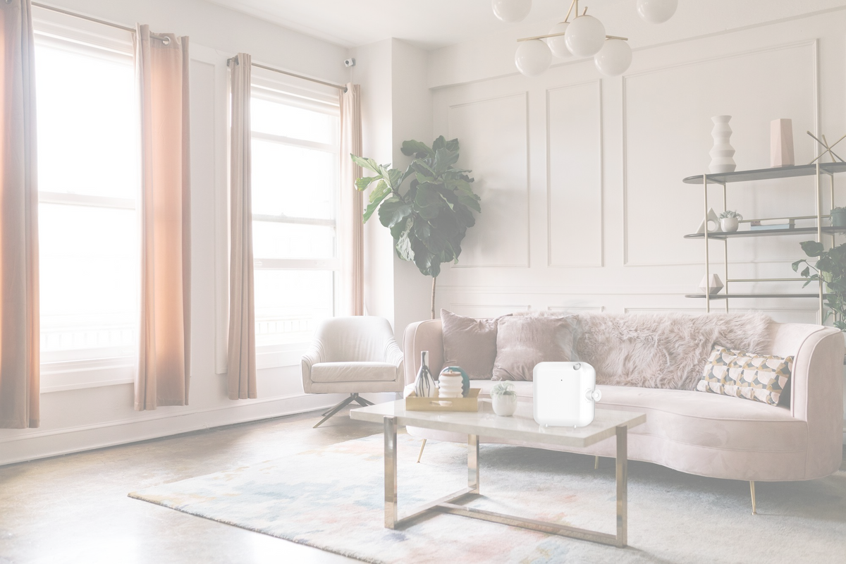 Scentfinity | Home Scenting and Business Scenting