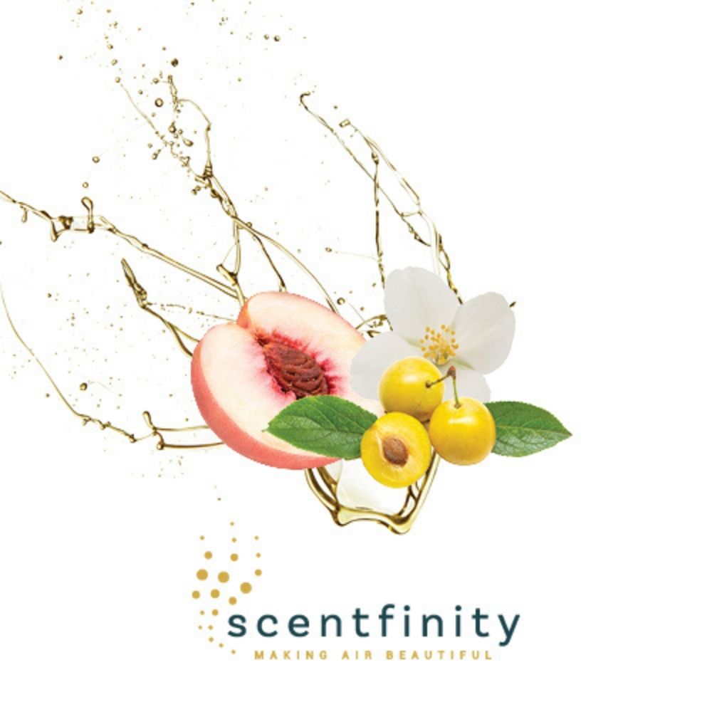 Perennial Pleasure – scentfinity-shop