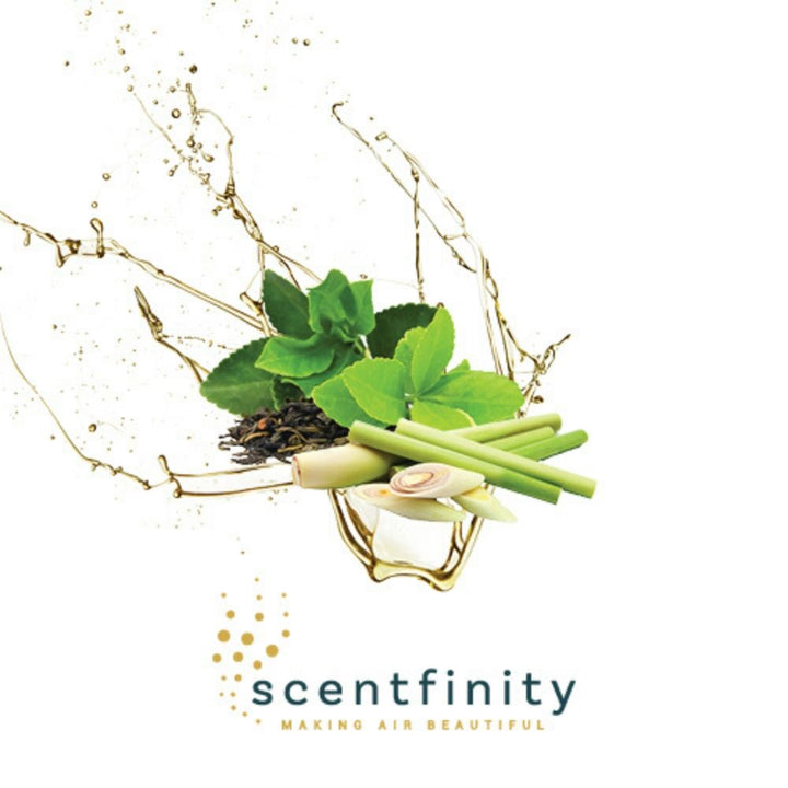 Collections – scentfinity-shop